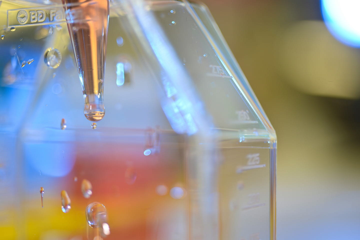 Rare Disease: How Common is the Uncommon?