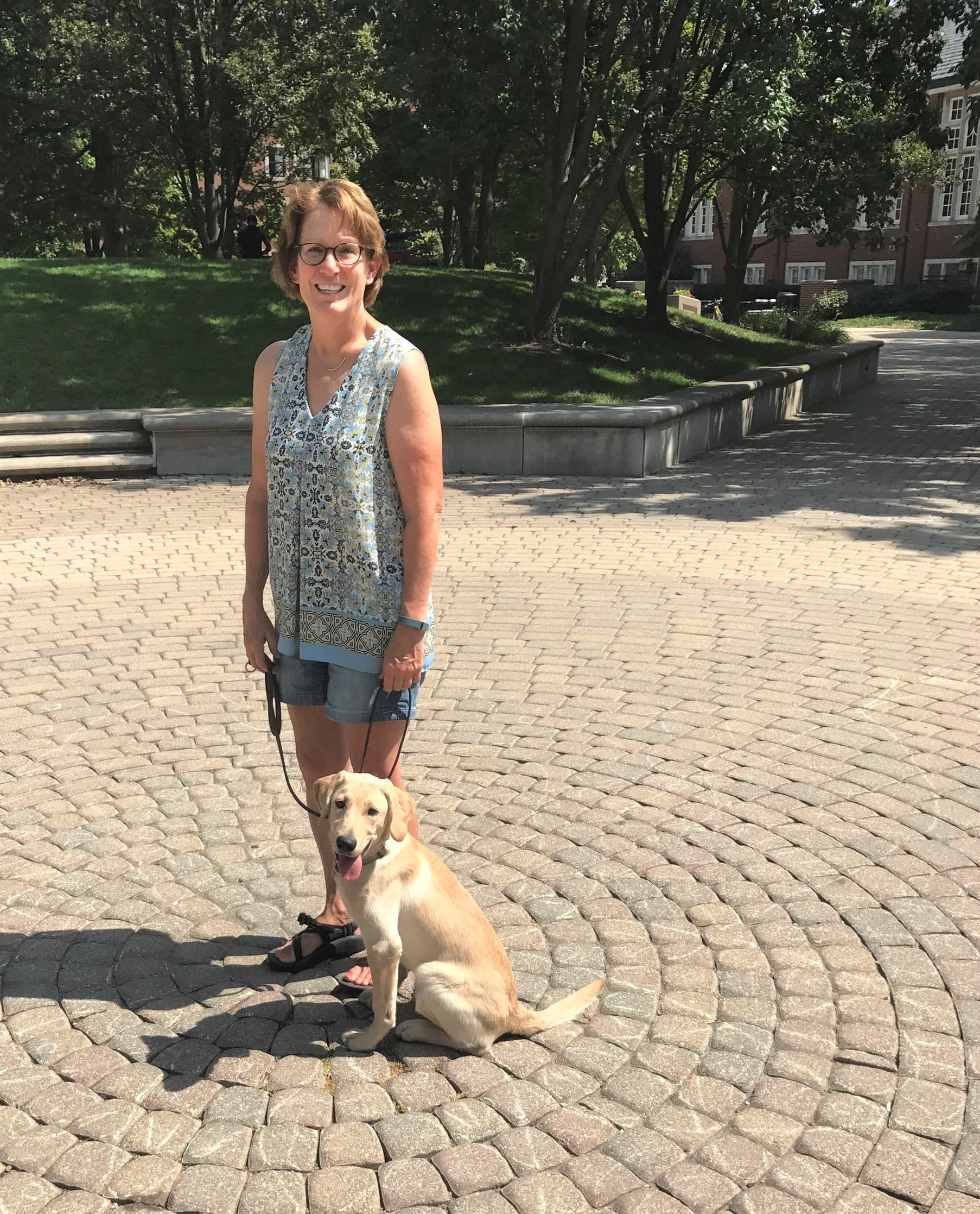 Meet the team: Sue Samson