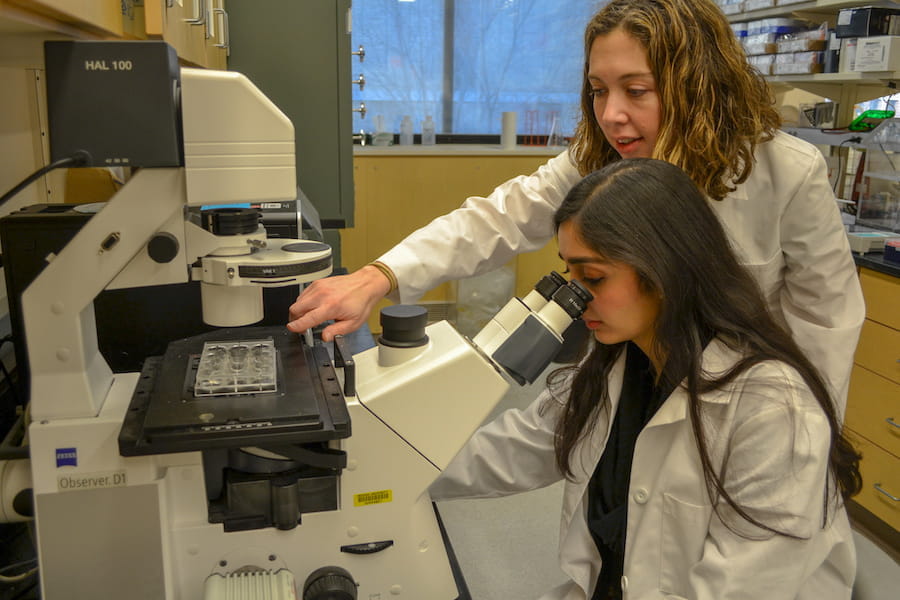 IU diabetes center produces big impact research