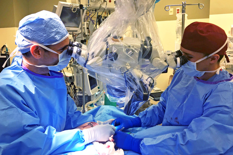 IU School of Medicine plastic surgeon earns award