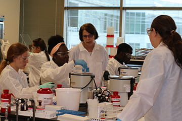 Pathology and Laboratory Medicine | IU School of Medicine