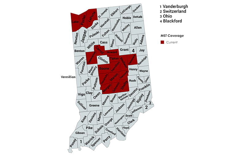 Multisystemic Therapy | Psychiatry Research | IU School of Medicine