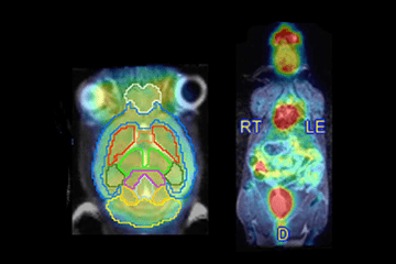 Imaging Core | Radiology and Imaging Sciences Research | IU School of ...