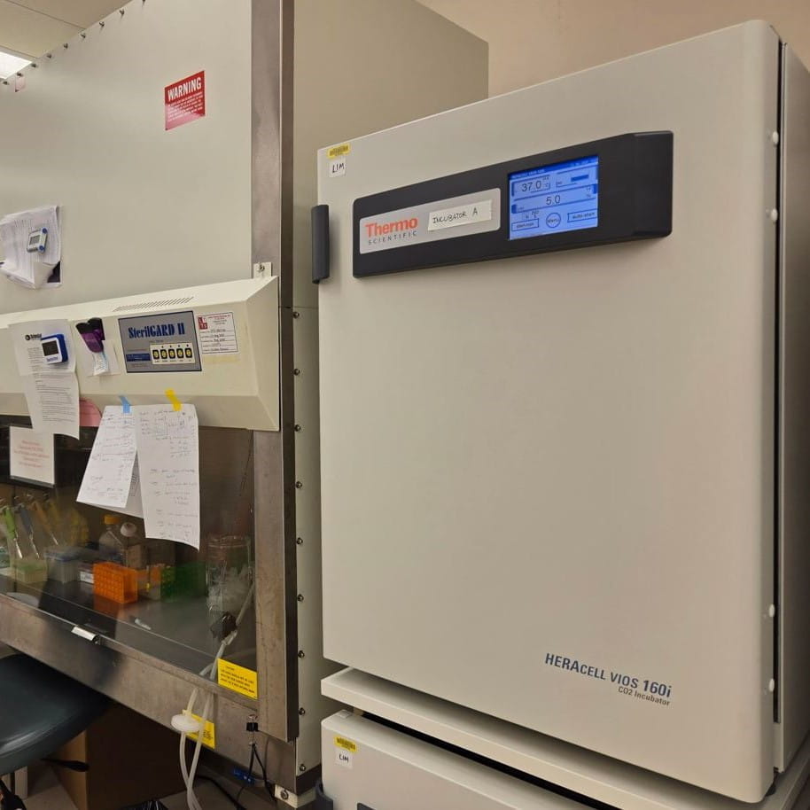 Lim Lab | IU School of Medicine