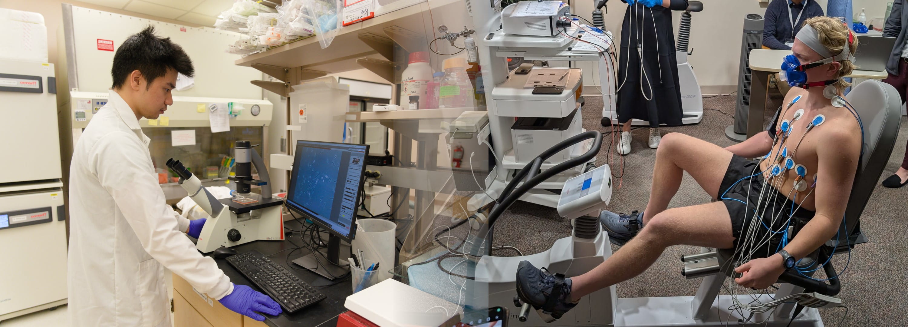 Lim Lab | IU School of Medicine