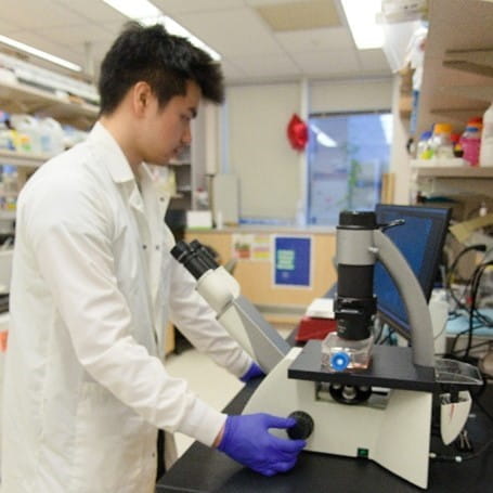 Translational Drug Discovery | Lim Lab | IU School of Medicine