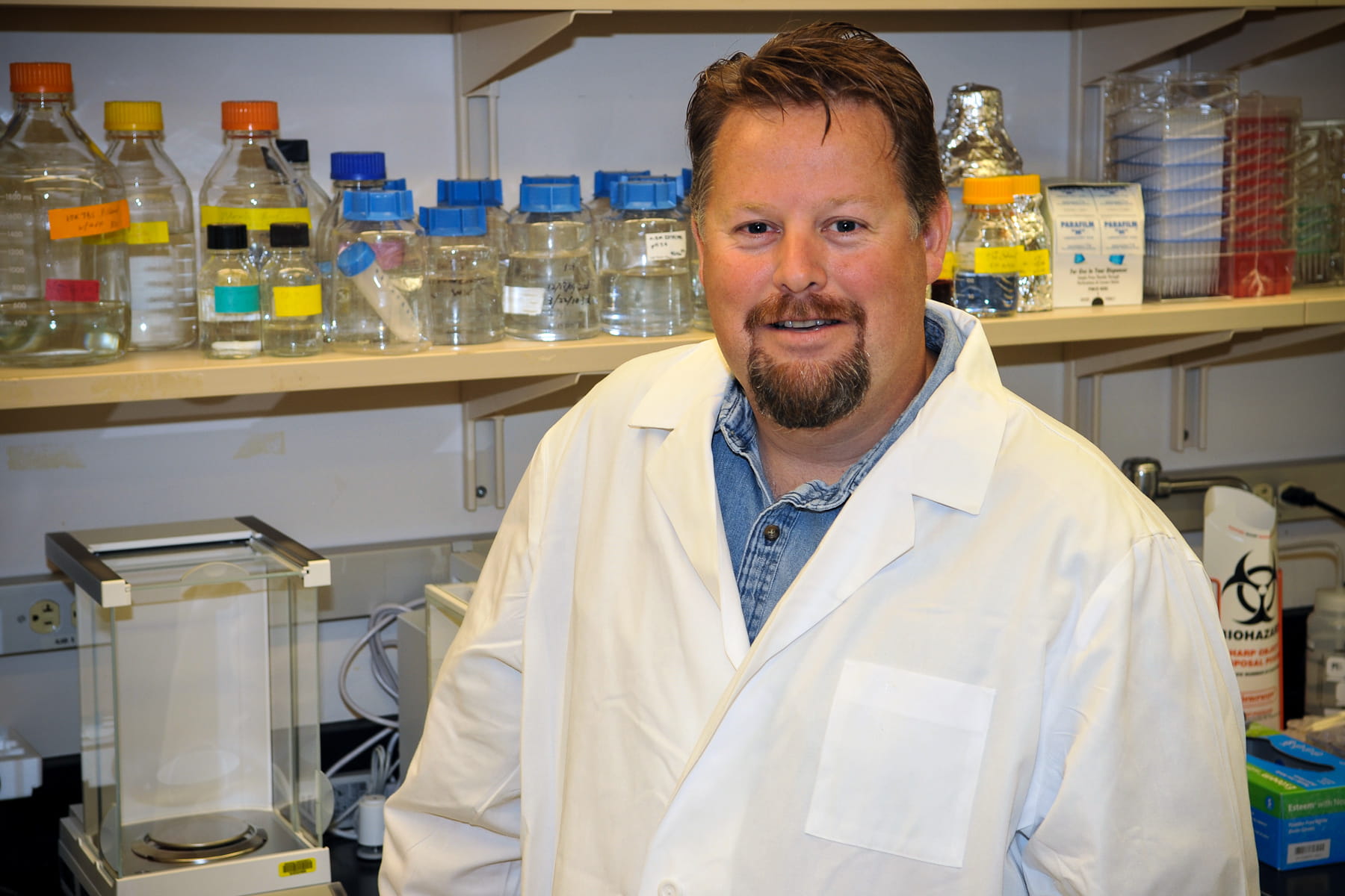 Scientists Induce Heart Structural Cells to Become Working Heart Muscle ...